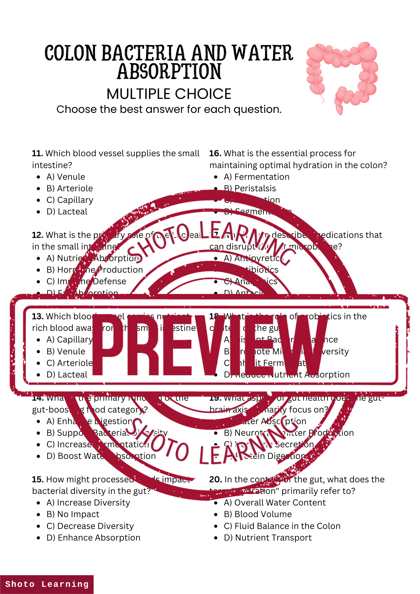 Small Intestine Mastery: Multiple Choice Worksheet for Digestive ...