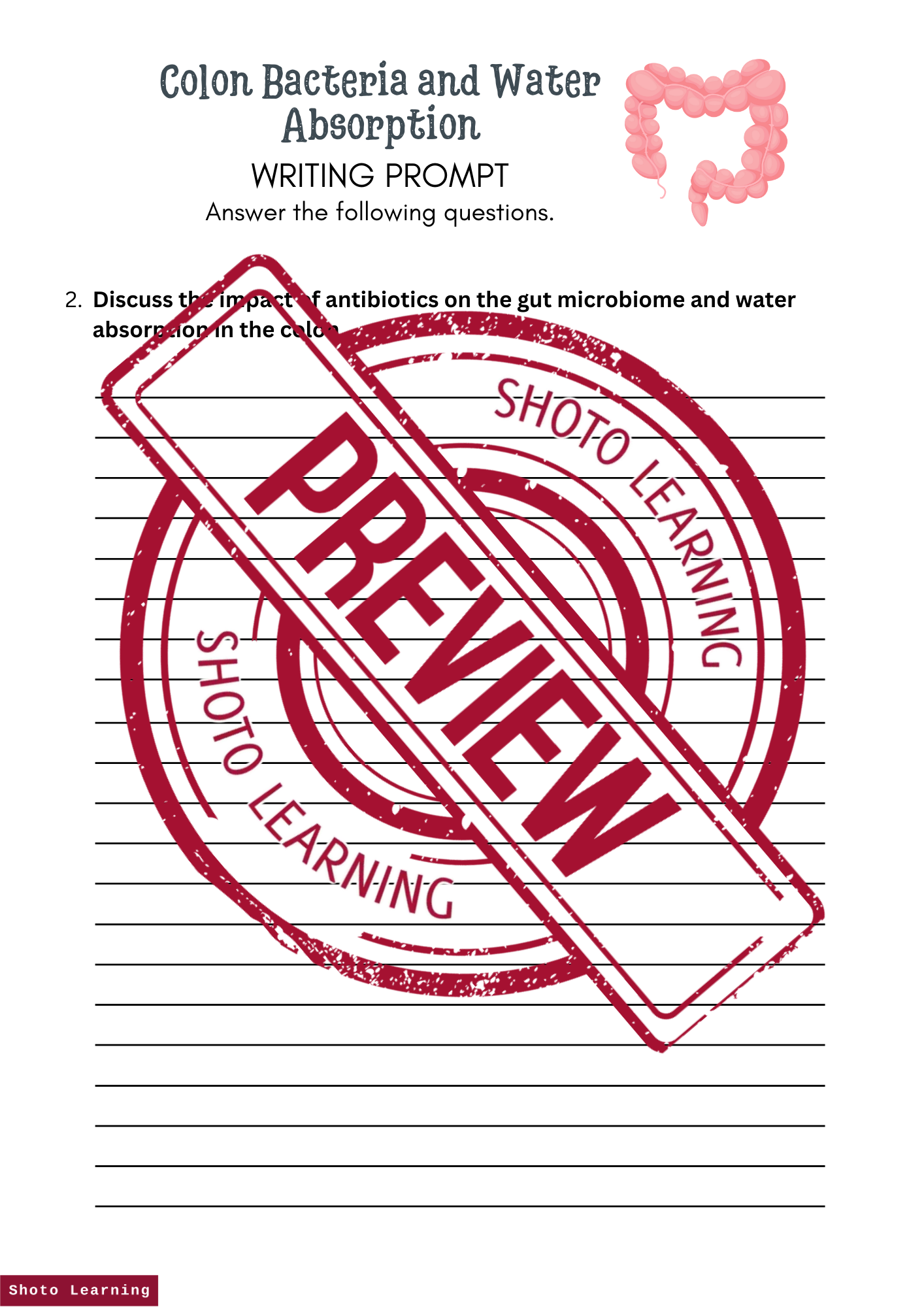 Small Intestine Dynamics Writing Prompts: 10 In-Depth Explorations with ...