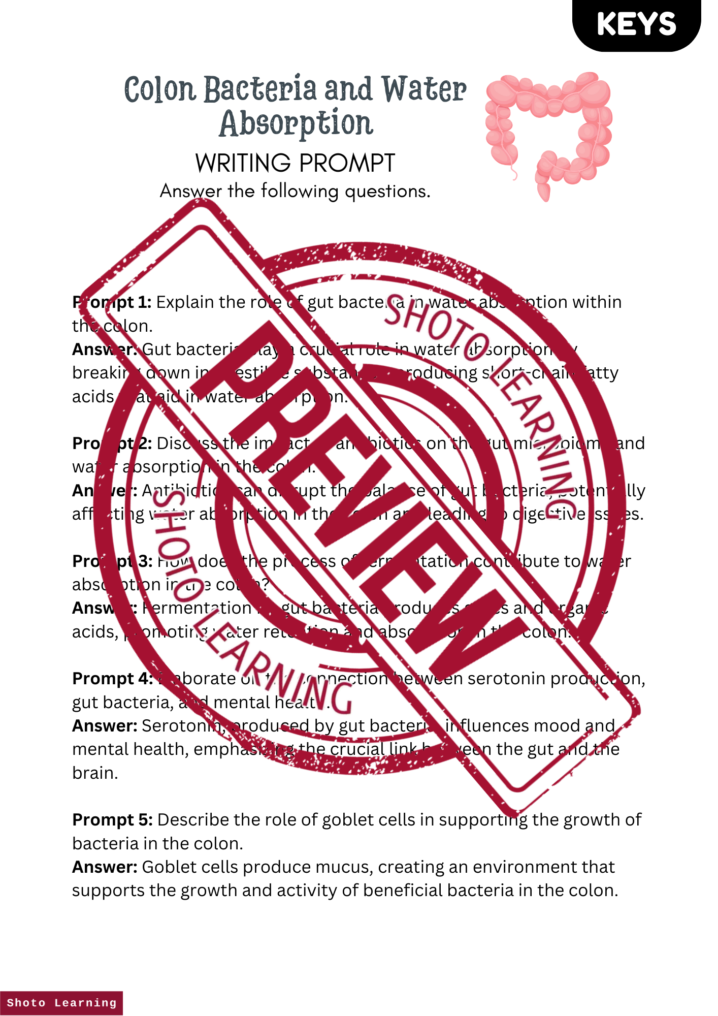 Small Intestine Dynamics Writing Prompts: 10 In-Depth Explorations with ...