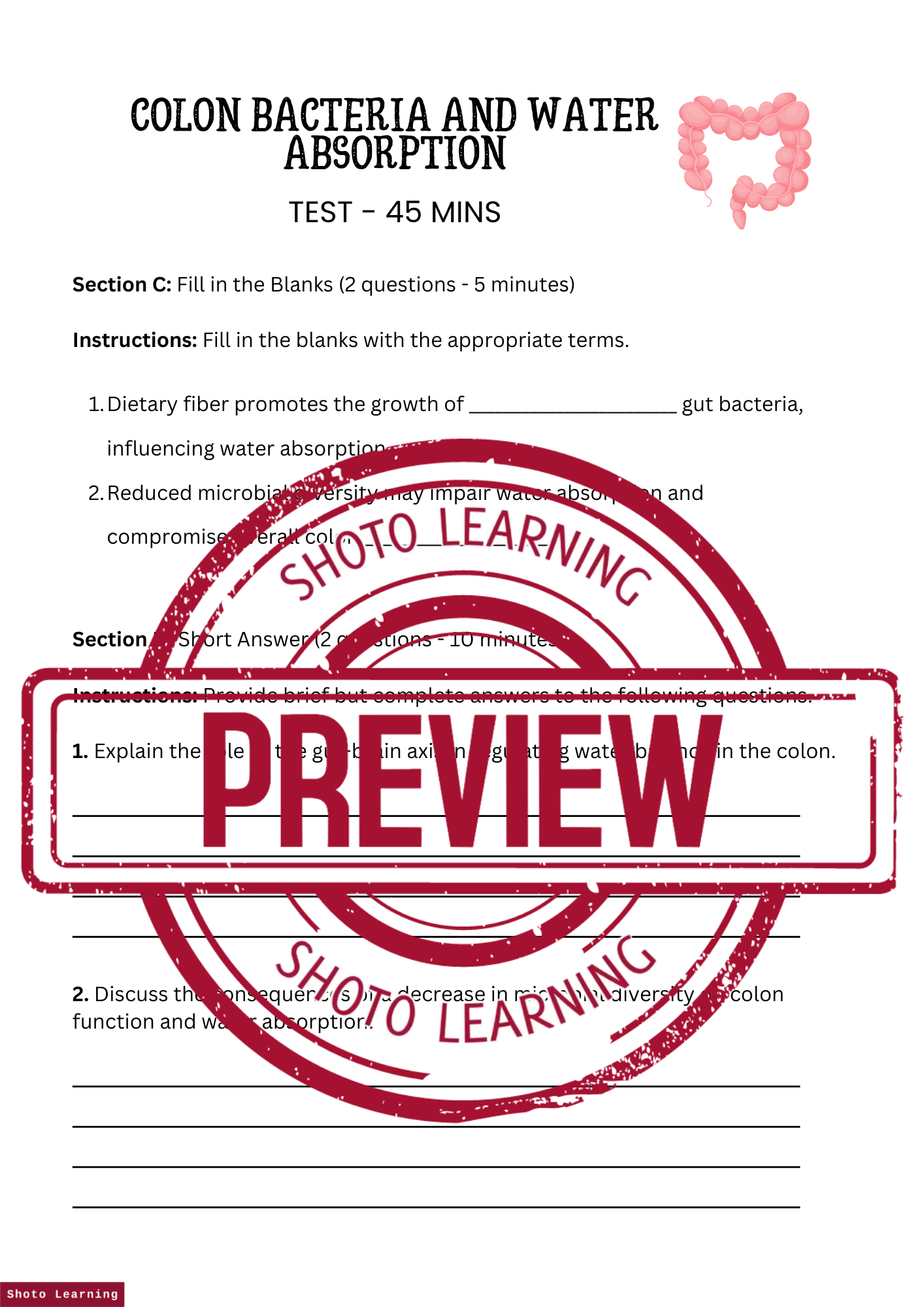45 Minute Test on States of Matter: Fun and Educational Assessment Tool ...