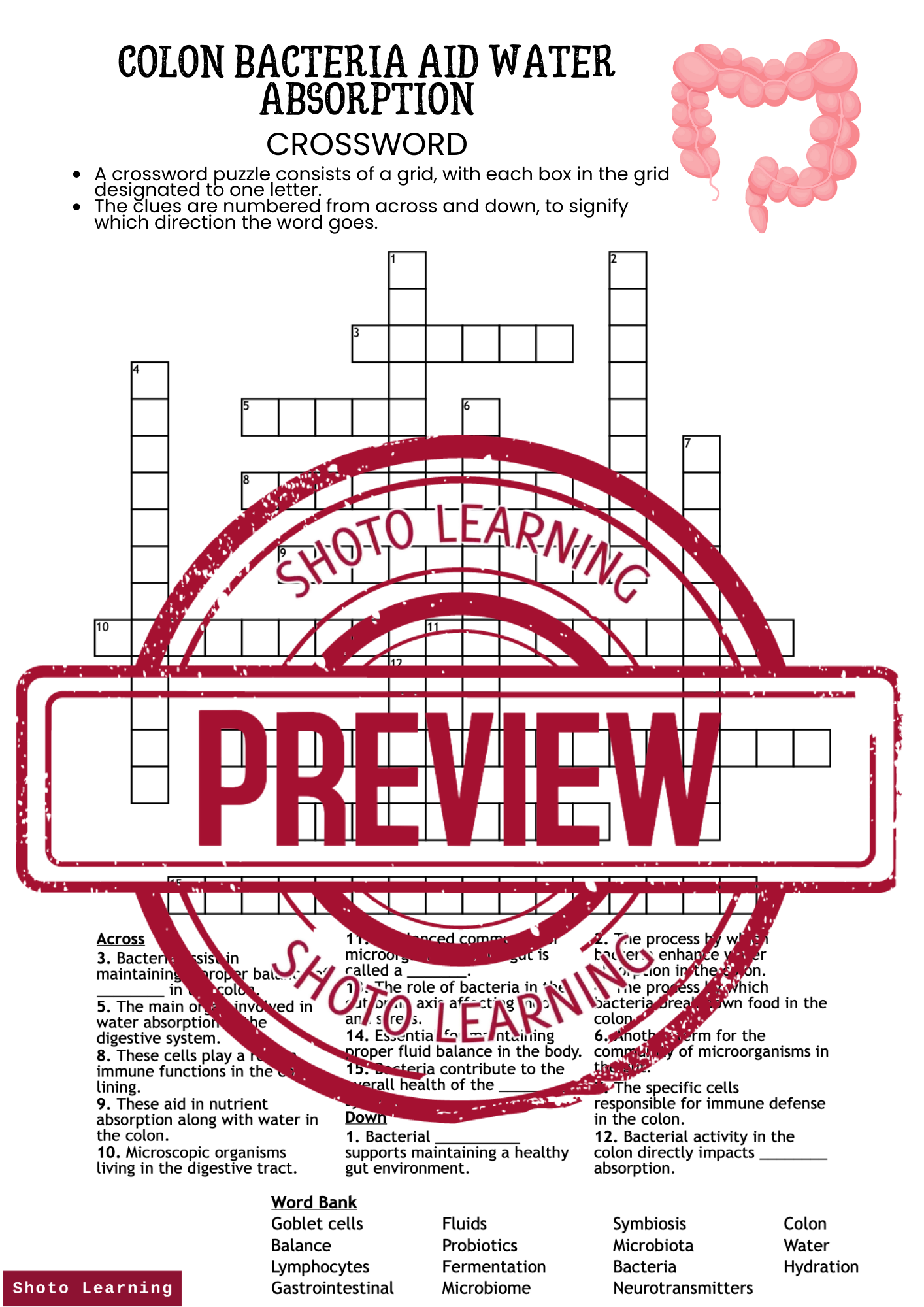 STATES OF MATTER ACTIVITY - BUNDLE WORD FIND SCRAMBLE WORDS VOCABULARY ...