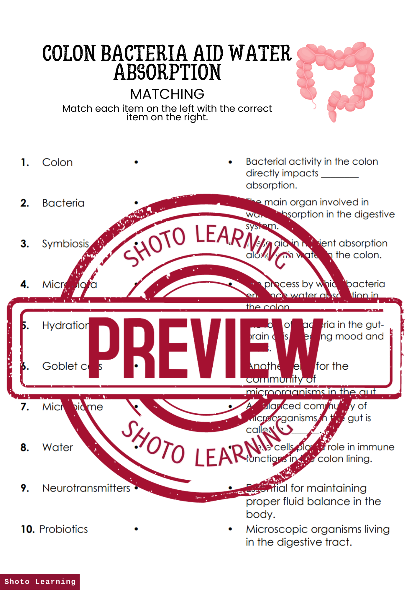 PARTS OF THE EAR SCIENCE ACTIVITY - BUNDLE WORD FIND SCRAMBLE WORDS ...