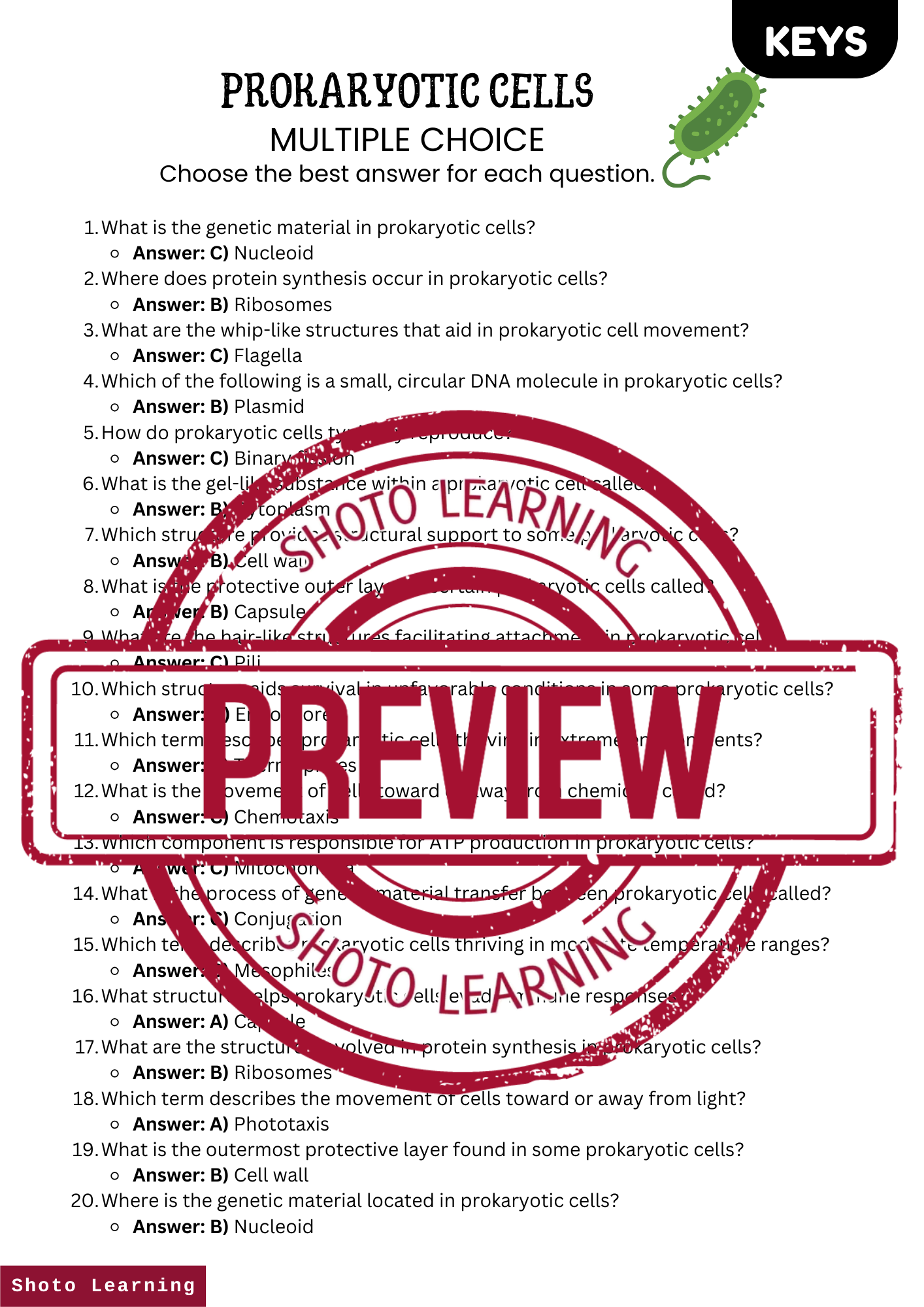 Prokaryotic Cell Quest: Word Search Worksheet — Shoto Learning ...