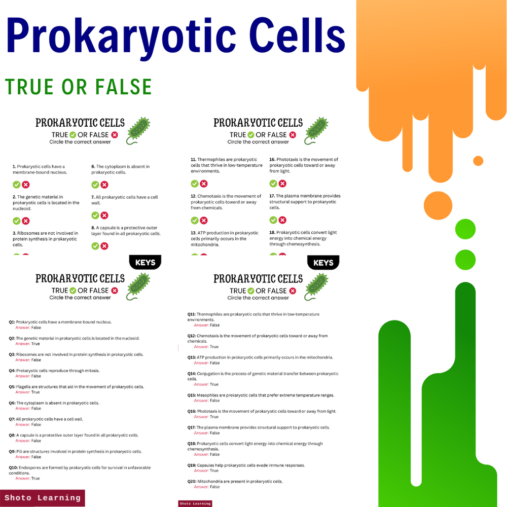 Prokaryotic Cell Quest: Word Search Worksheet