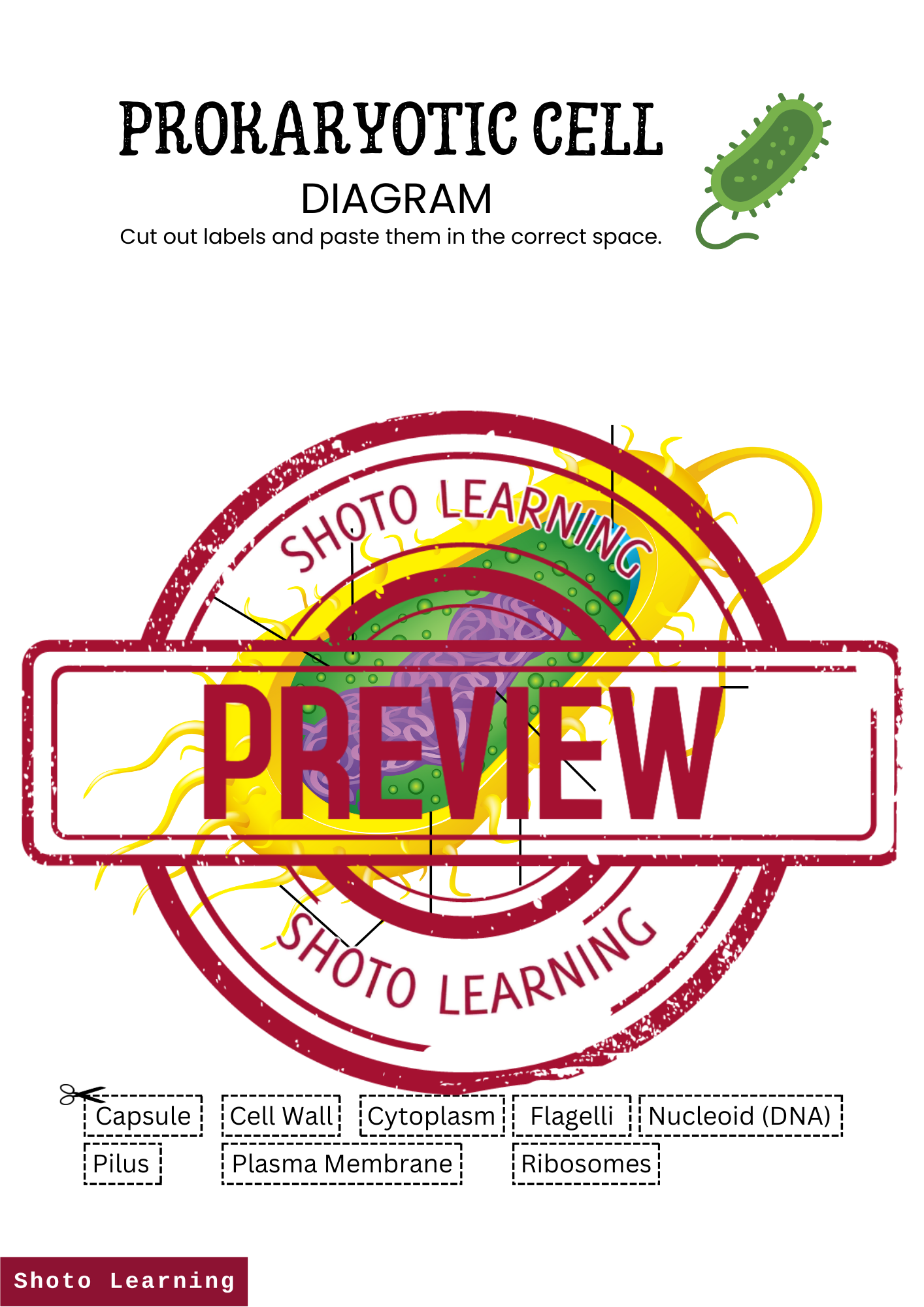 Exploring the Wonders of Biochemistry: Educational Poster — Shoto ...