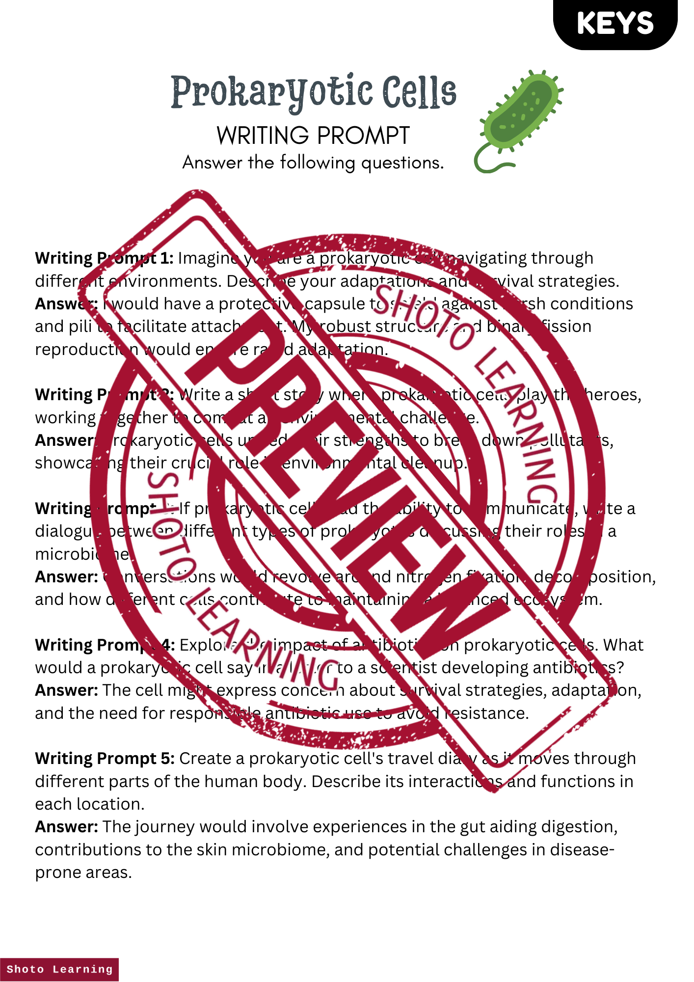 Explore the Microscopic Marvels: Prokaryotic Cell Anatomy Poster ...