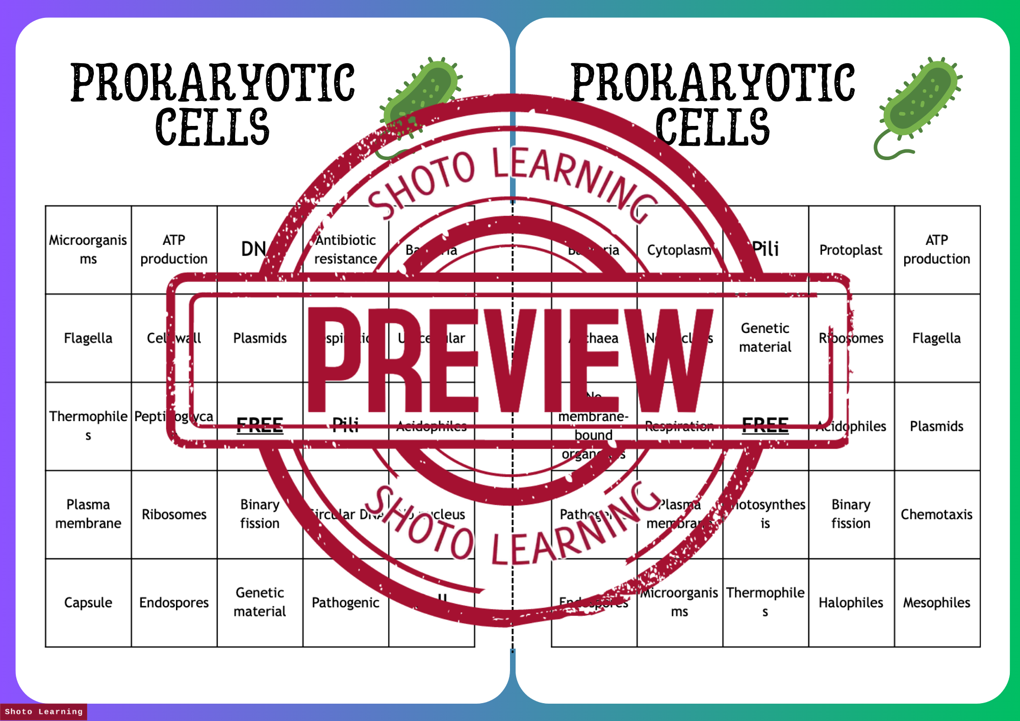 Prokaryotic Cells Mastery Exam: 45-Minute Comprehensive Assessment ...