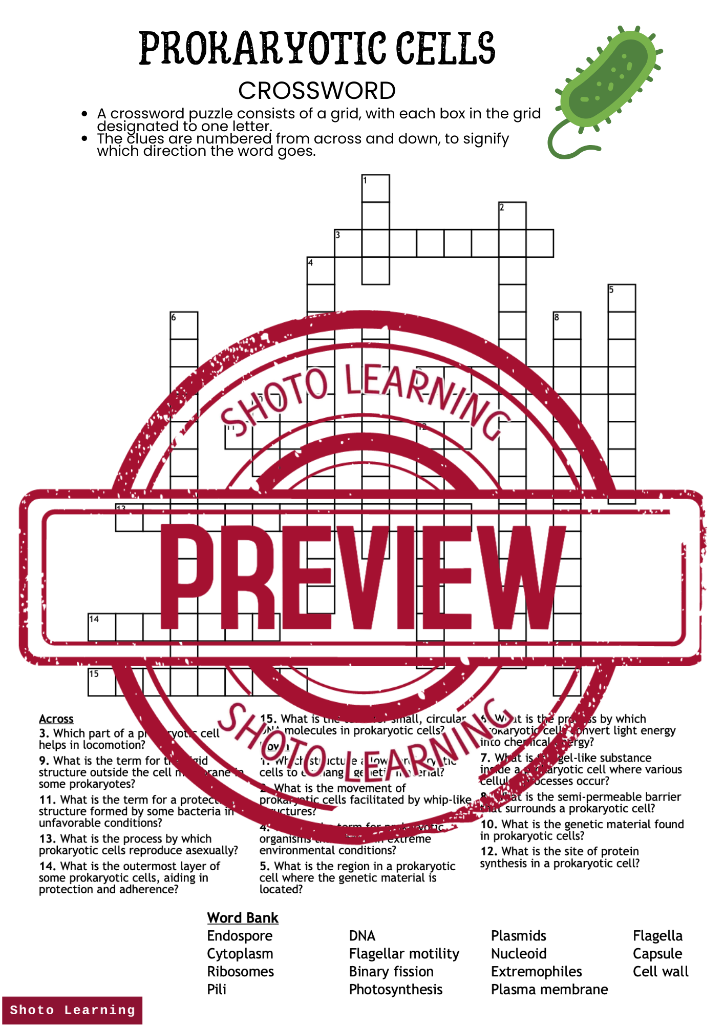 Prokaryotic Cells Mastery Exam: 45-Minute Comprehensive Assessment ...