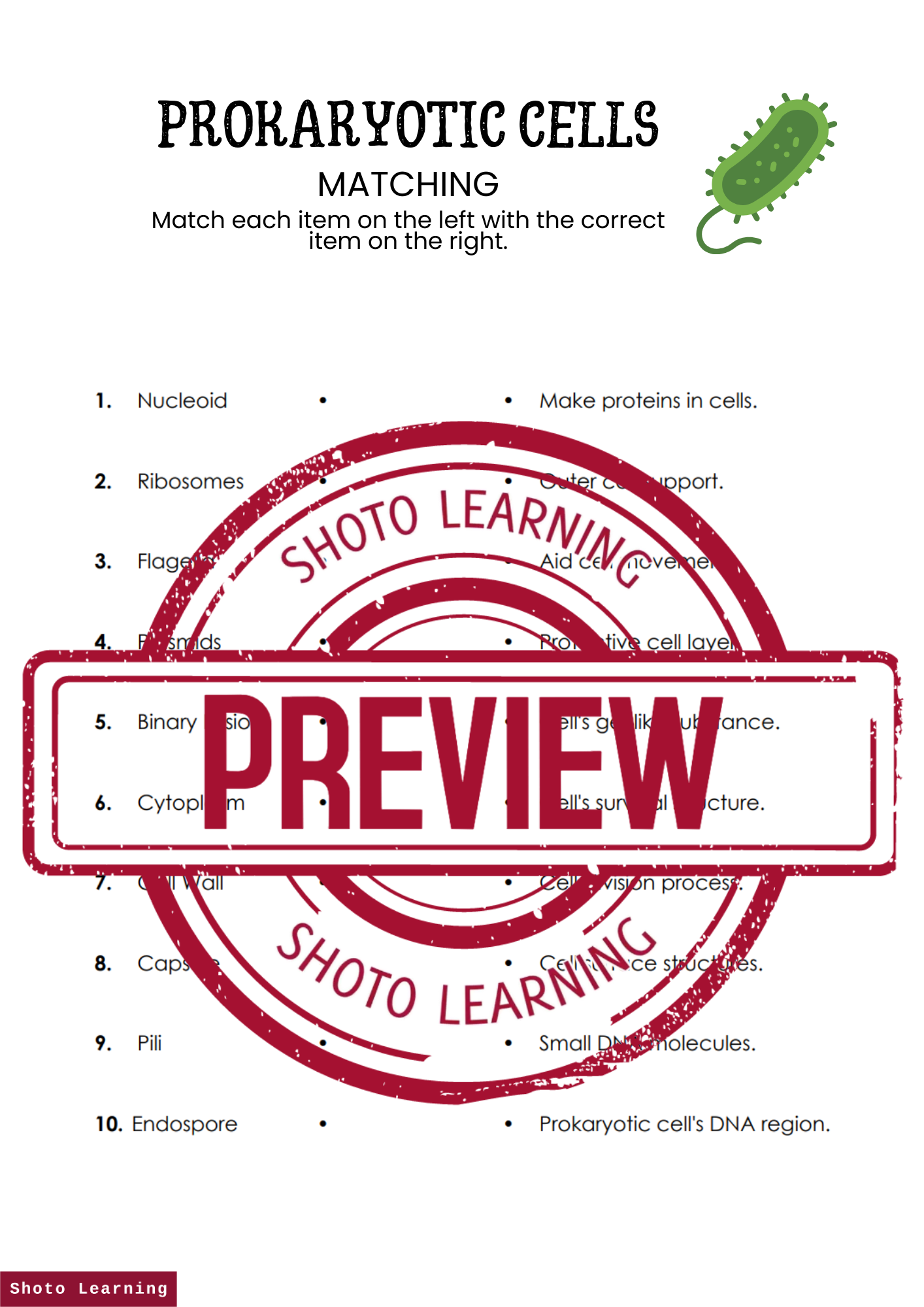Prokaryotic Cell Q&A Mastery Worksheet: 20 Questions & Answers