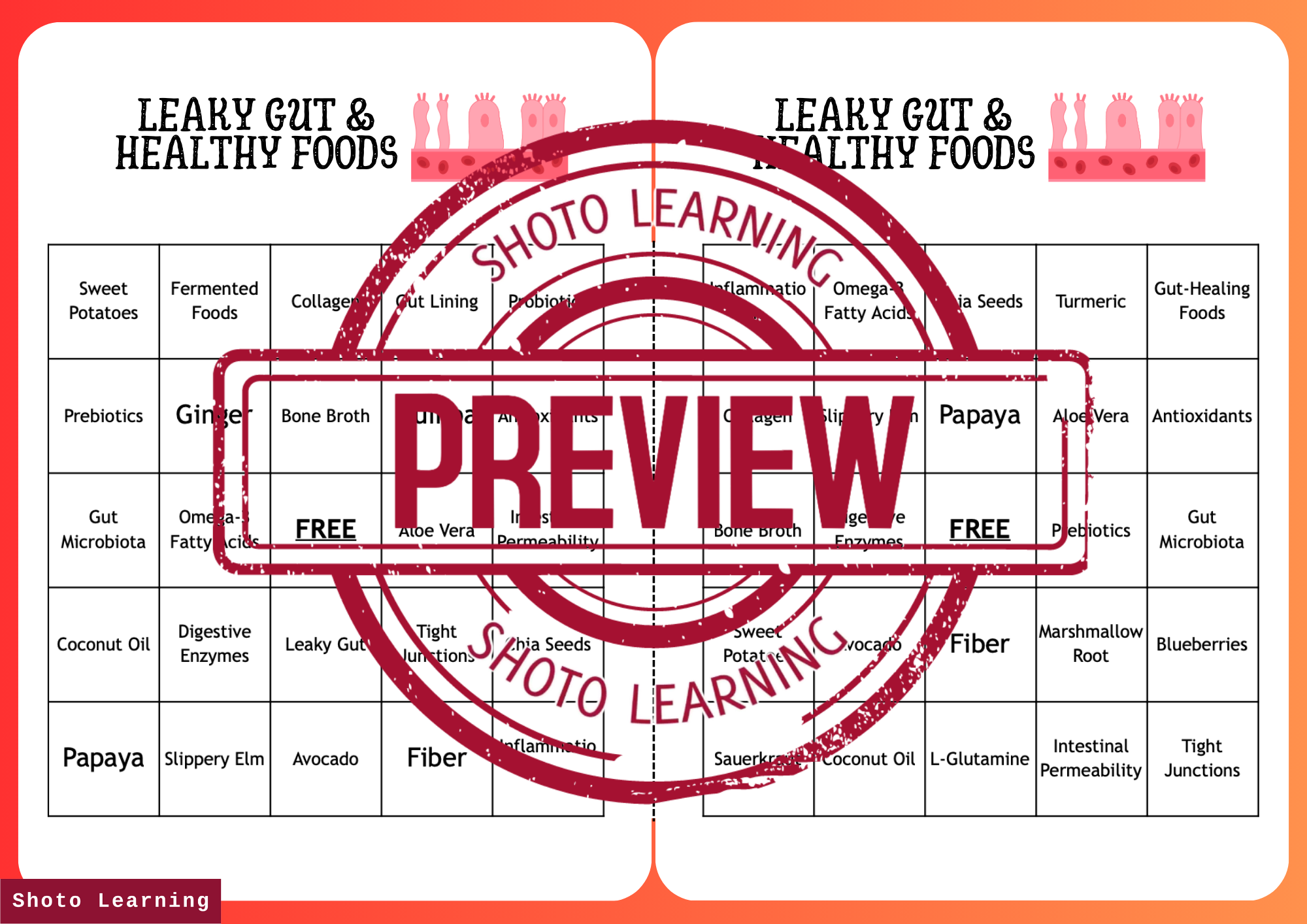 Unlock Gut Health: Leaky Gut & Healthy Foods Flashcards — Shoto ...