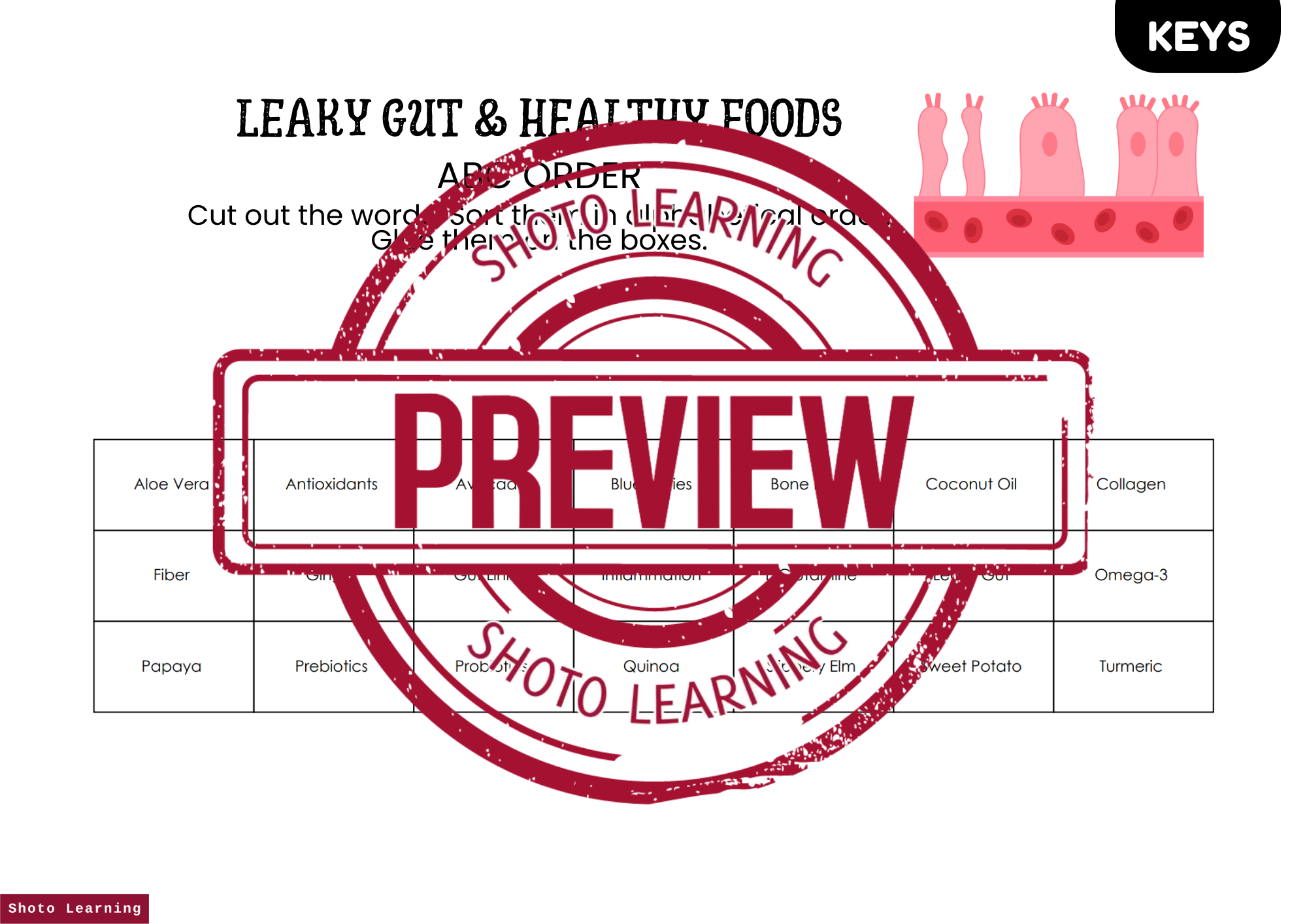 Newton's Motion Mastery: ABC Order for Laws — Shoto Learning | English ...