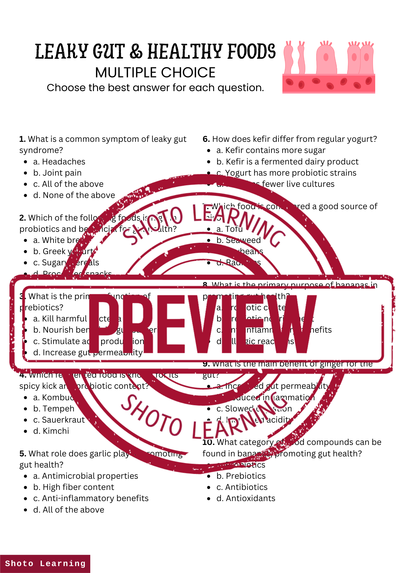 Unlock Gut Health: Leaky Gut & Healthy Foods Flashcards — Shoto ...