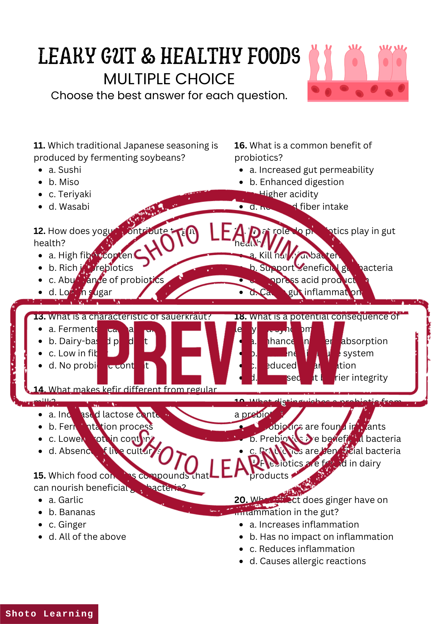 Unlock Gut Health: Leaky Gut & Healthy Foods Flashcards — Shoto ...