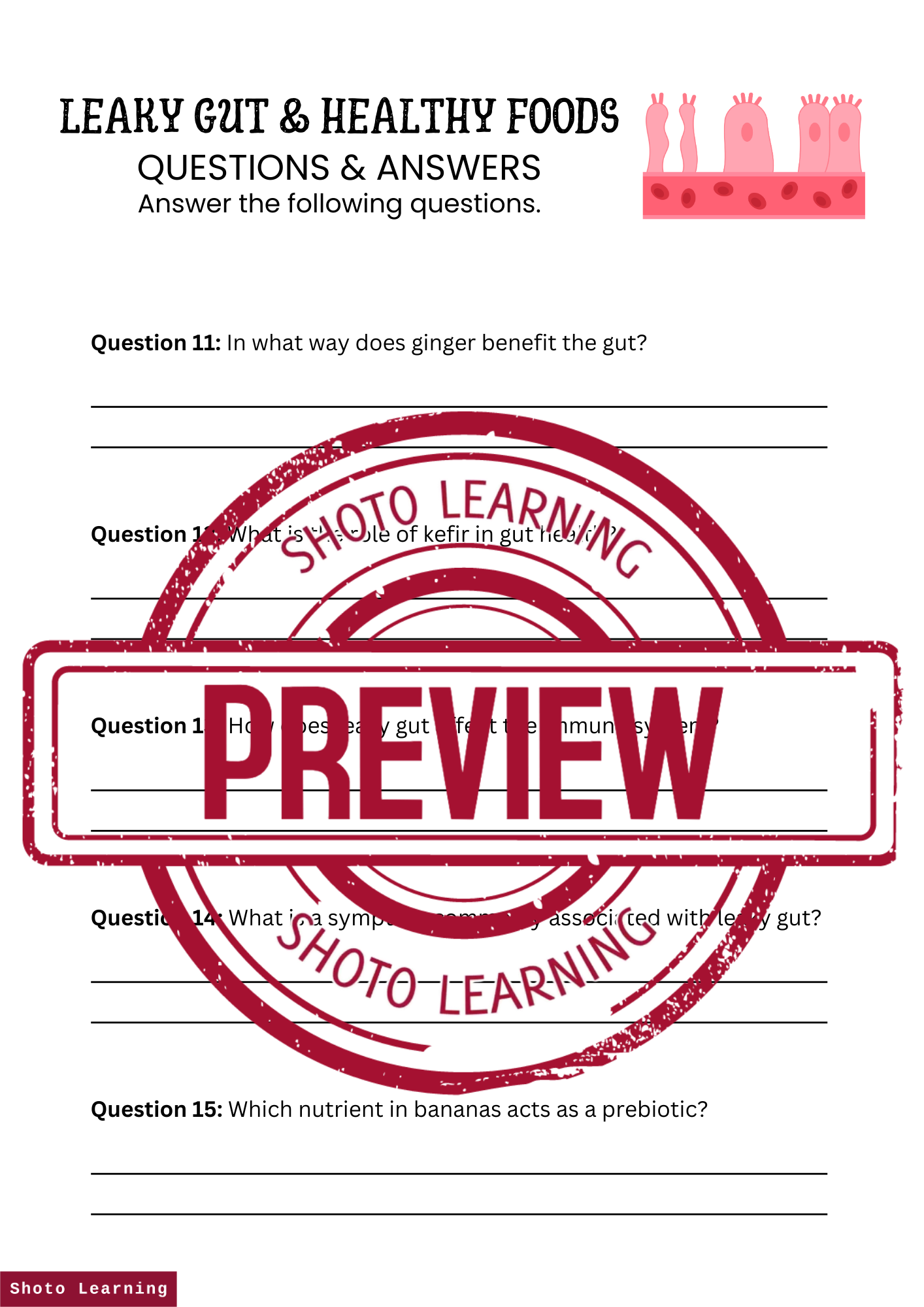 Alphabetical Mastery: Leaky Gut & Healthy Foods ABC Order Worksheet ...