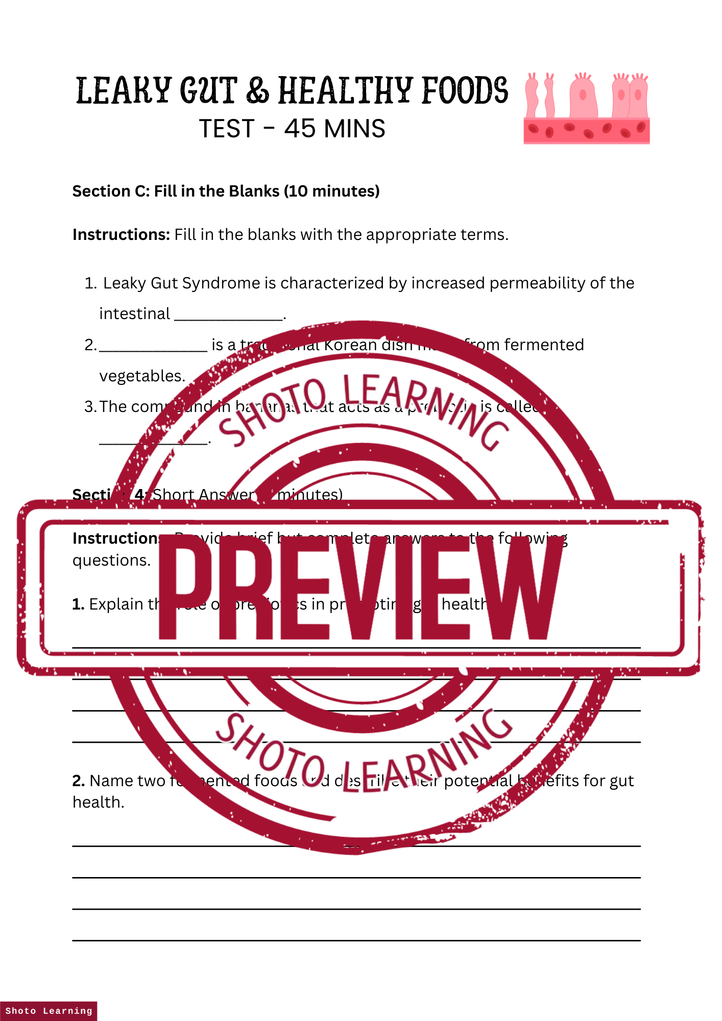 Gut Health Delights: Unveiling the Secrets of a Healthy Digestive ...