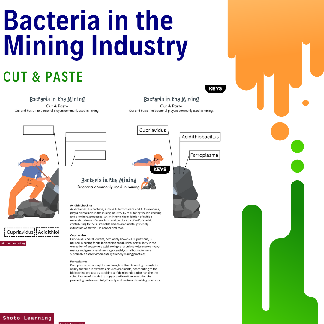 Bacterial Mining Discovery Worksheet: Interactive Cut and Paste Activity