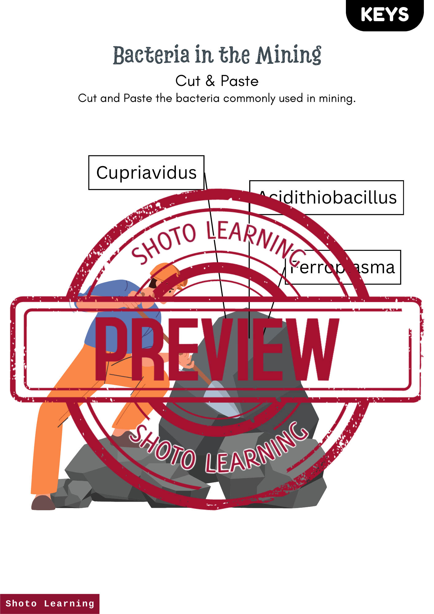 Nutrition Puzzle: Cut and Paste for Optimal Gut Health — Shoto Learning ...