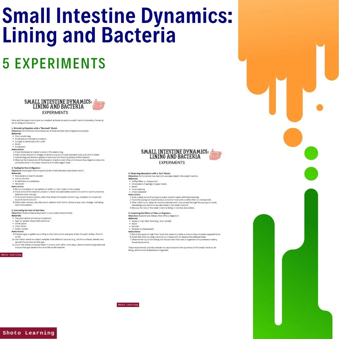 Small Intestine Worksheet: 20 Fill-in-the-Blank Questions