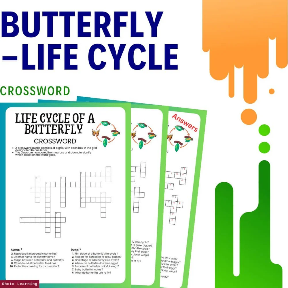 Fluttering Connections: Butterfly Life Cycle Matching Worksheets