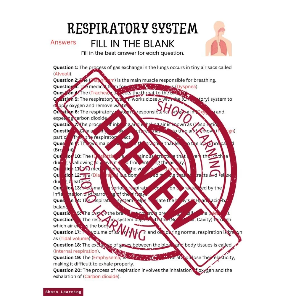 Respiratory System Diagram: Fill in the Blanks and Learn