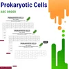 Prokaryotic Cell Q&A Mastery: 20 Questions & Answers