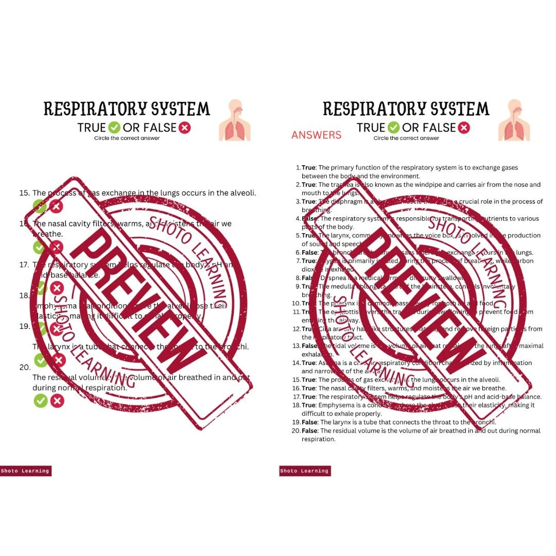 Respiratory System Poster: Learn Anatomy & Function | Free Download