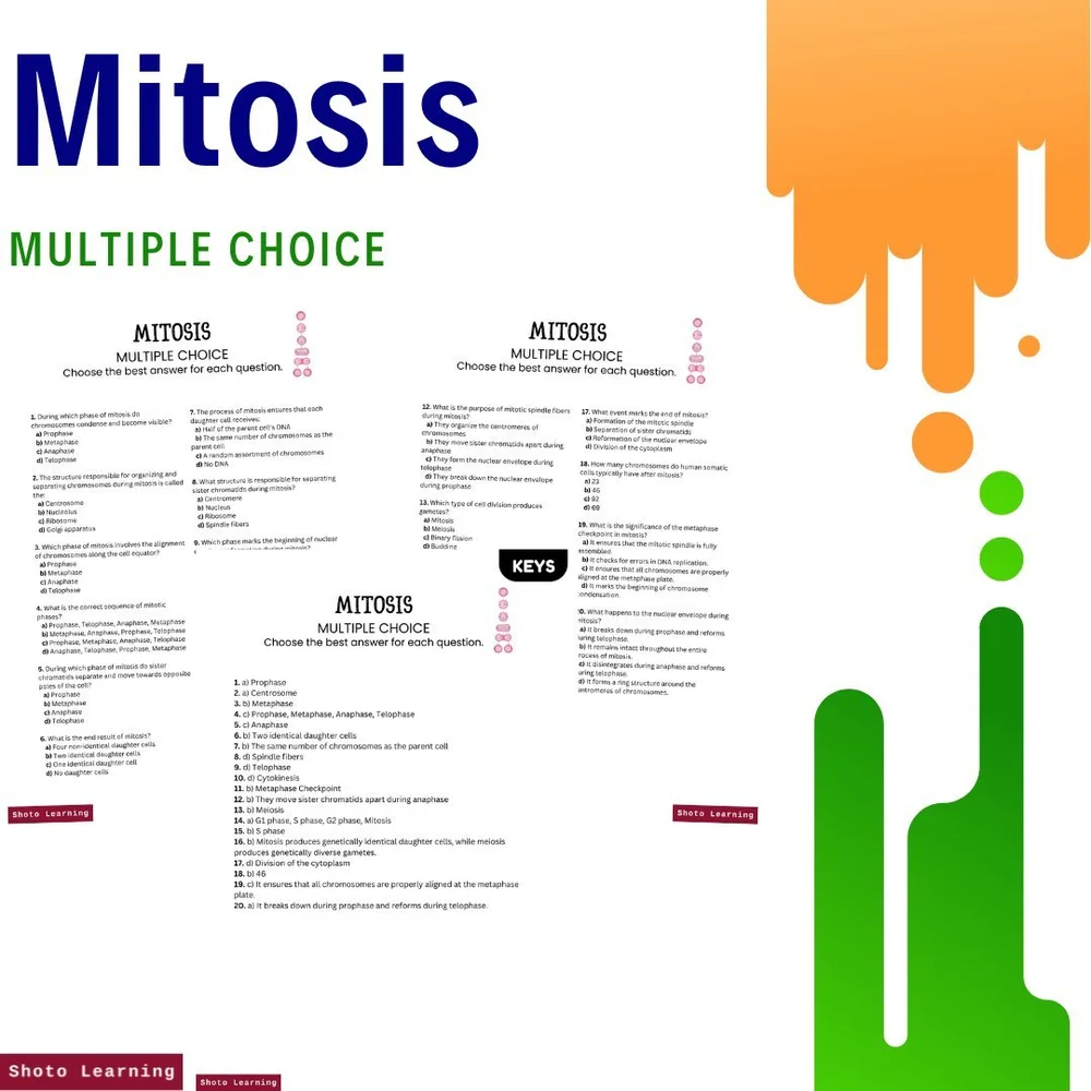 Unveiling Mitosis Poster - Educational Cell Division Chart