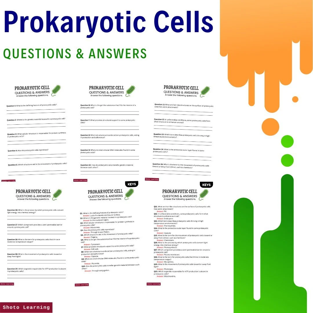 Prokaryotic Cell Mastery: Fill-in-the-Blank Worksheet