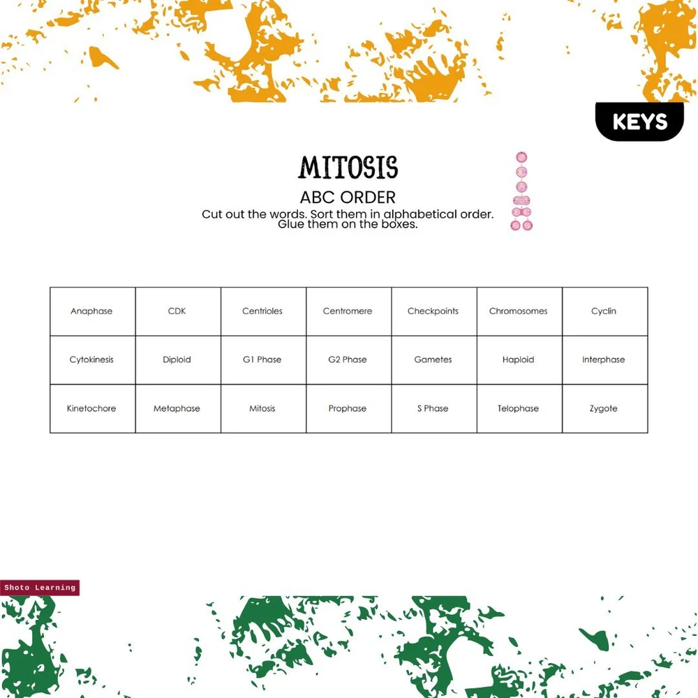 Unveiling Mitosis Poster - Educational Cell Division Chart