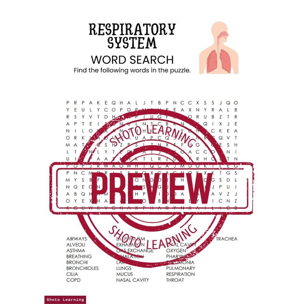 Respiratory System Poster: Learn Anatomy & Function | Free Download