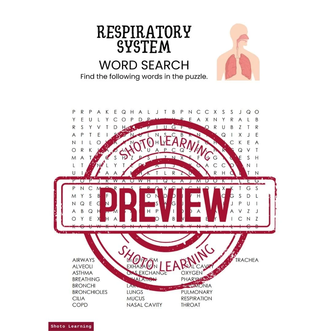 Respiratory System Word Scramble | Fun Learning