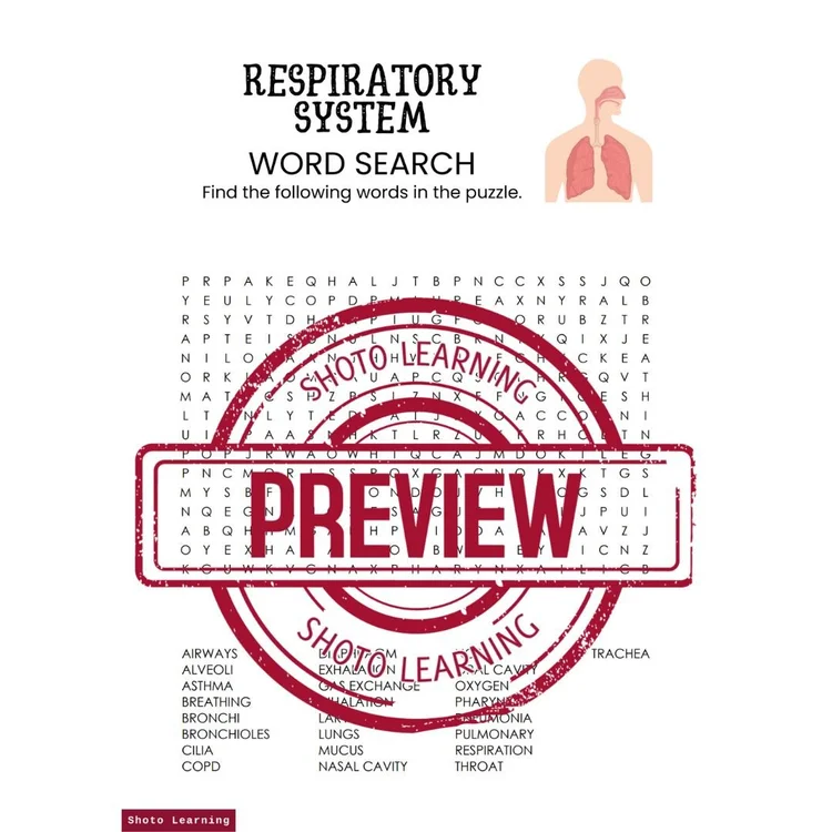 Respiratory System Word Scramble | Fun Learning