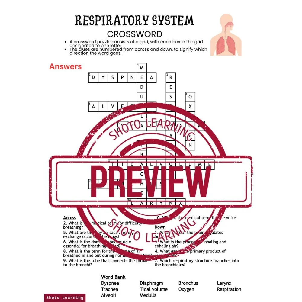Respiratory System Crossword Puzzle Senses, Nervous & Respiratory