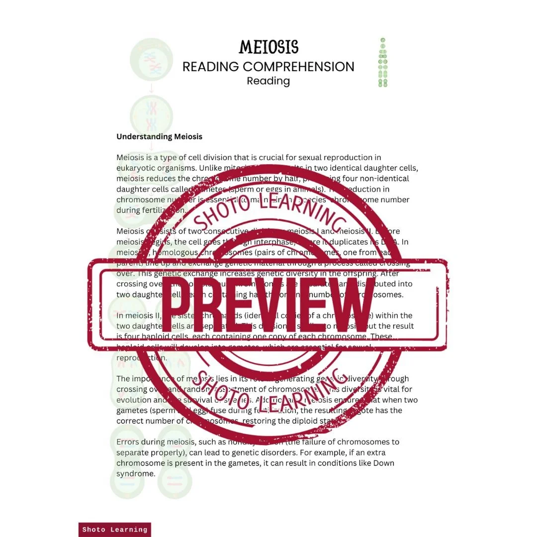 Meiosis Multiple Choice Worksheet | 20 Questions & Answer Key