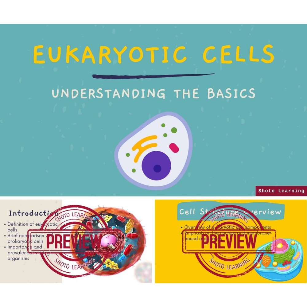 Eukaryotic Cells Poster - Animal & Plant Cell Structures