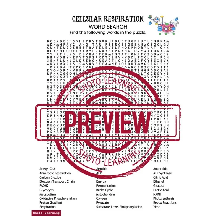 Cellular Respiration Posters Bundle - Visual Learning Tools