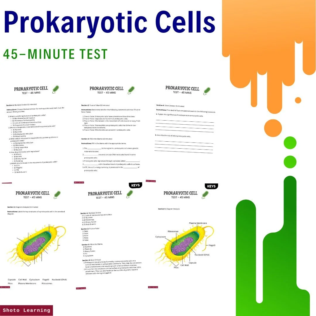 Prokaryotic Cell Mastery: Fill-in-the-Blank Worksheet