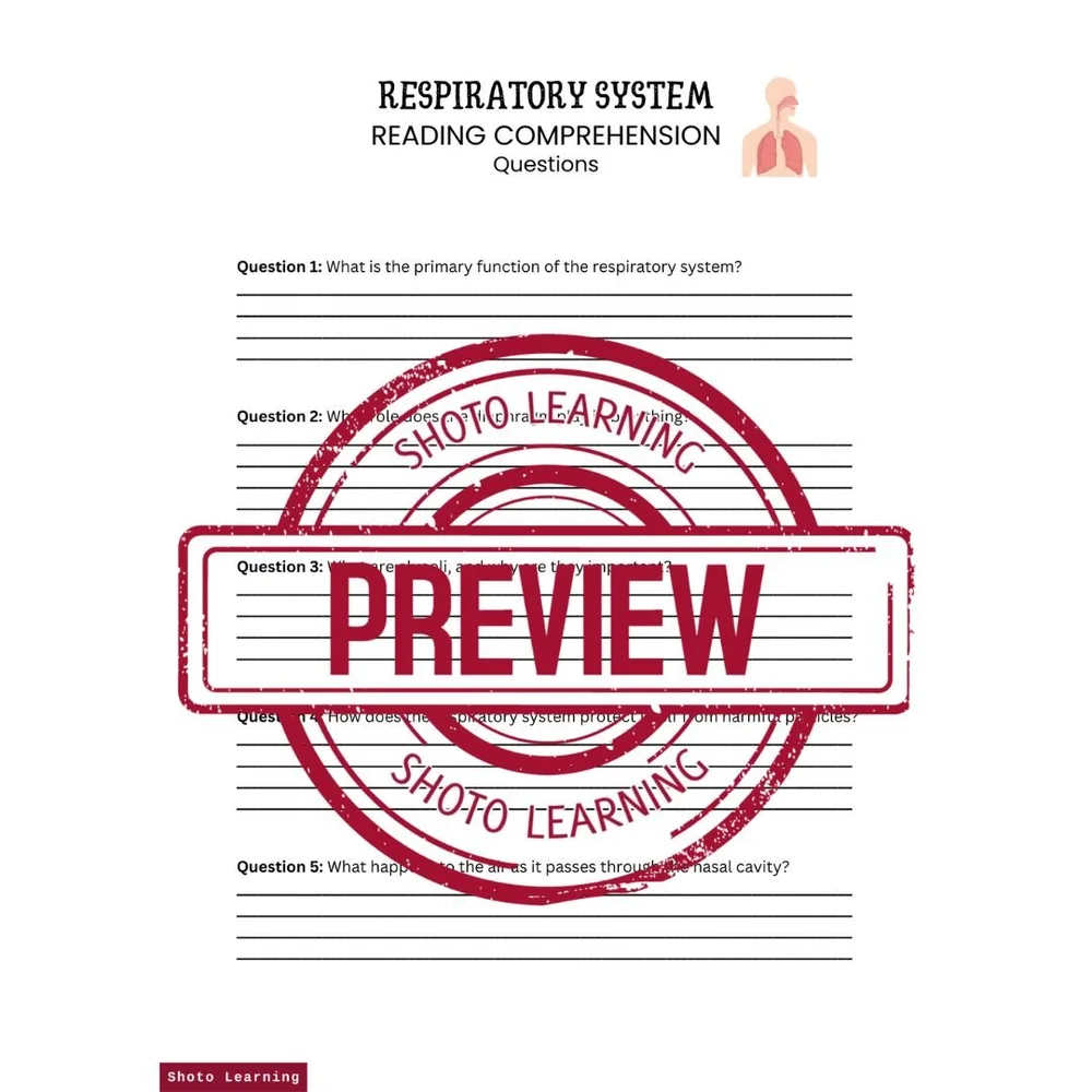 Respiratory System Diagram: Fill in the Blanks and Learn