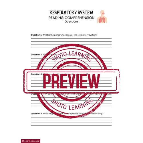 Respiratory System Diagram: Fill in the Blanks and Learn