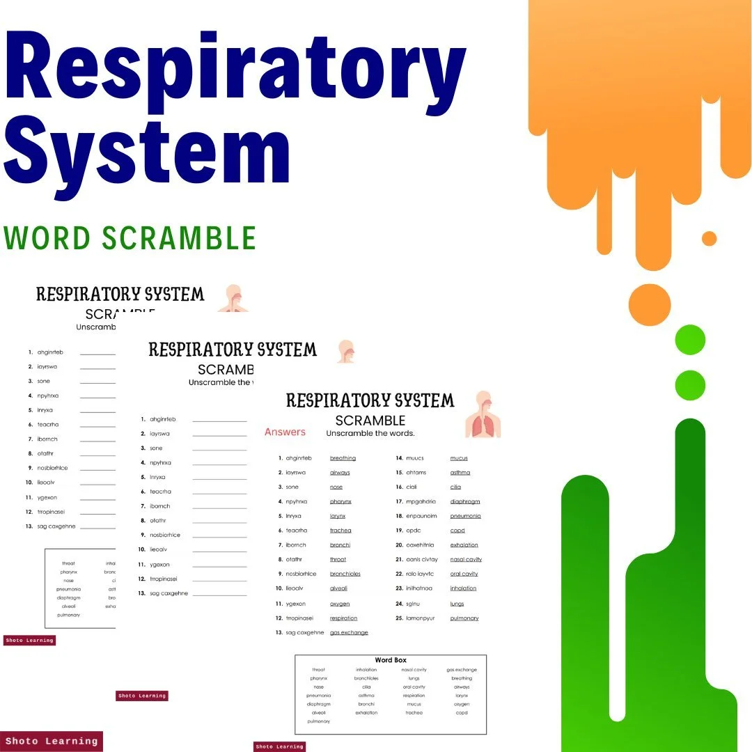 Respiratory System Diagram: Fill in the Blanks and Learn