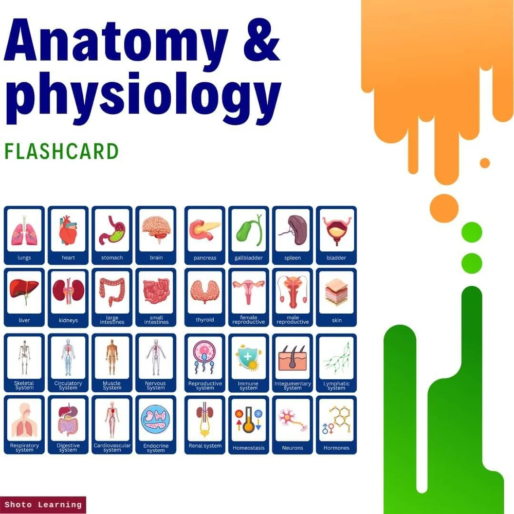 Anatomy & Physiology Word Search Puzzle: Learn Human Body Terms