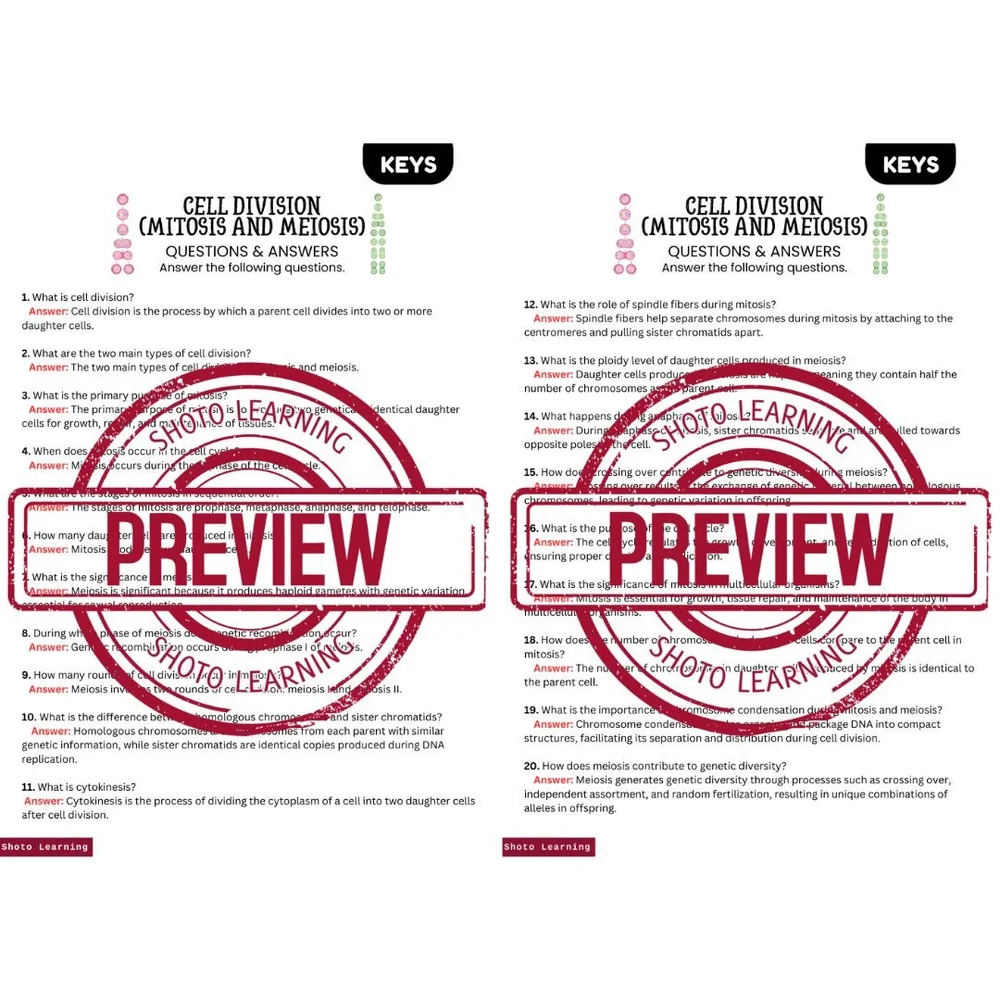 Cell Division Flashcards: Mitosis & Meiosis - 20 Cards PDF