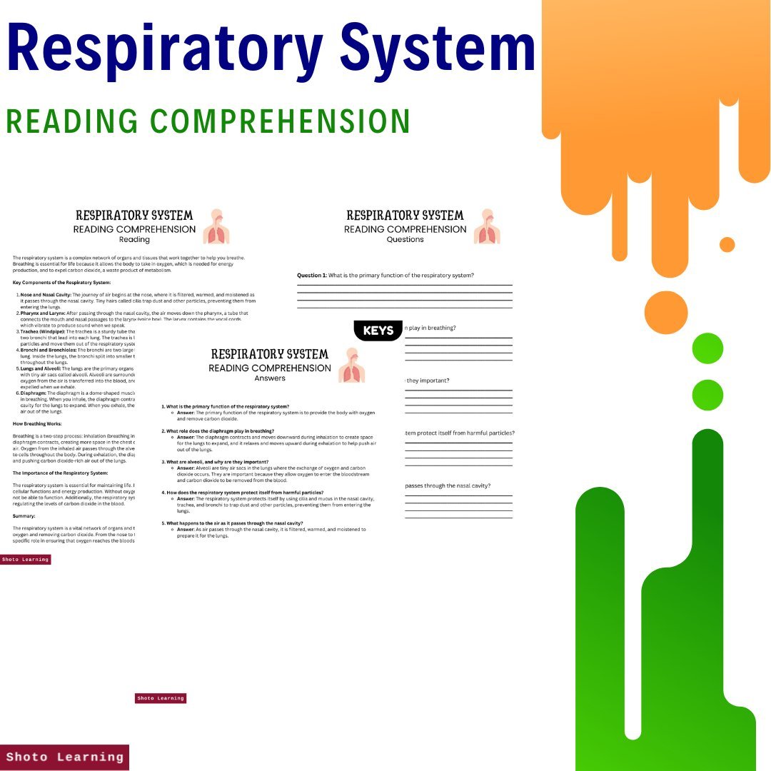 Respiratory System Diagram: Fill in the Blanks and Learn