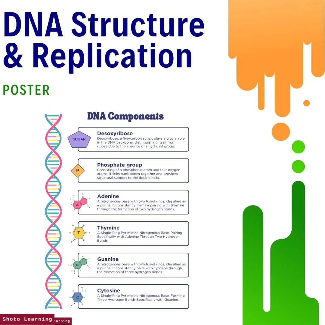 DNA Structure & Replication Mastery Worksheet | Fill in the Blank