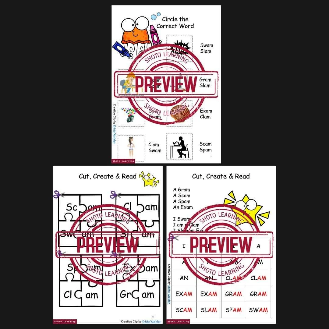 IG Word Family CVC Blend Worksheet Bundle: Fun Activities for Reading ...