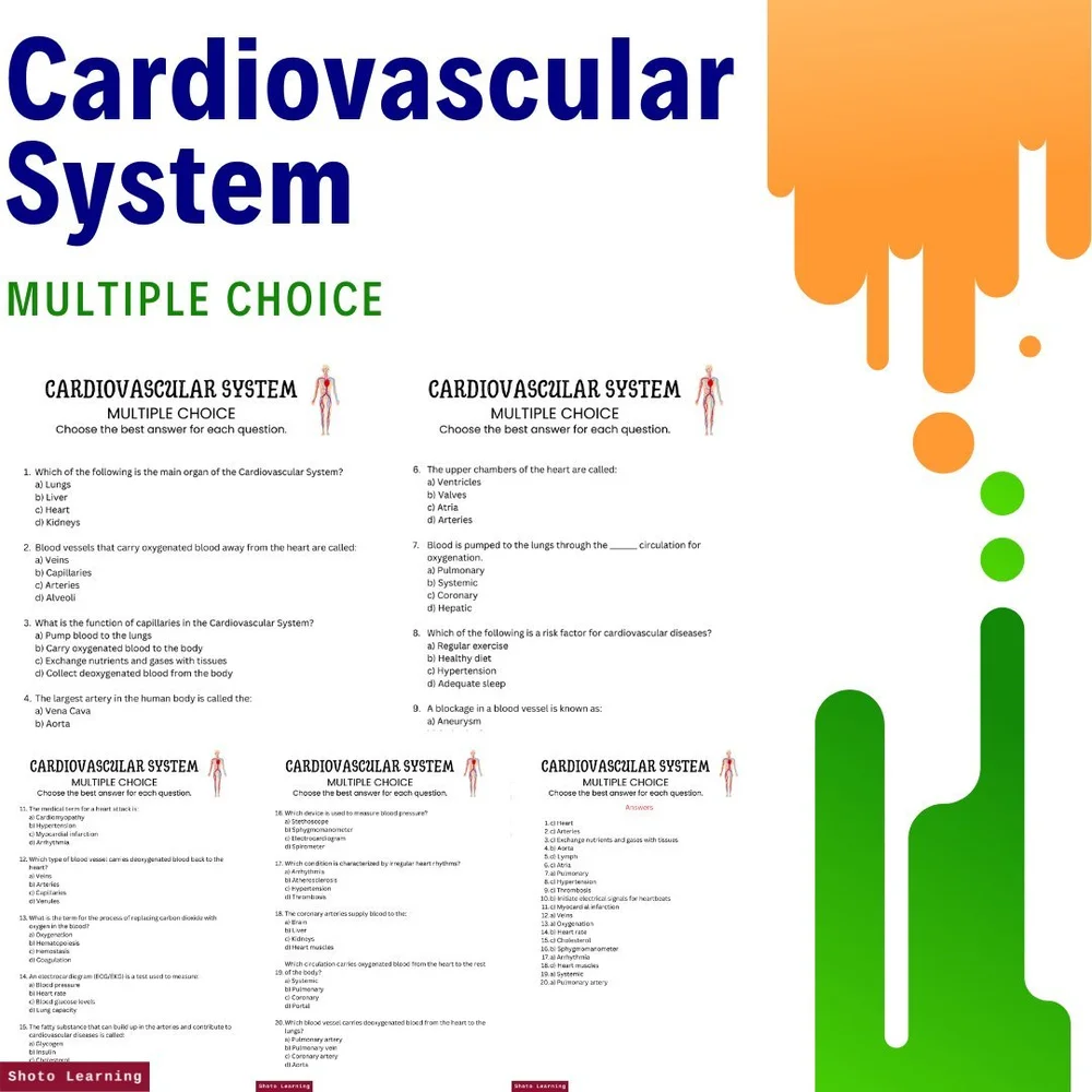 Free Cardiovascular System Poster - Learn & Decorate
