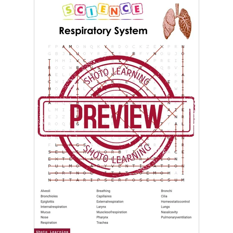 Respiratory System Diagram: Fill in the Blanks and Learn