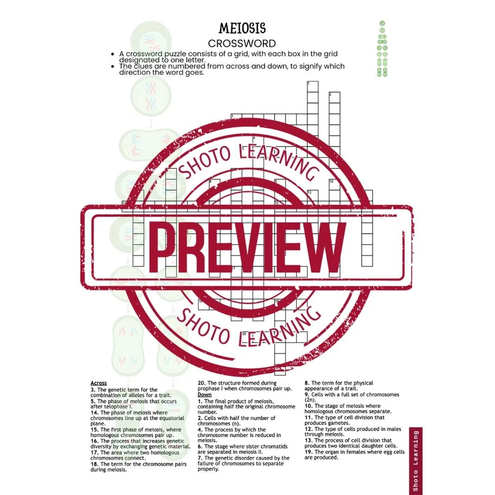 Interactive Meiosis Game Worksheet Bundle | Fun Learning Tools