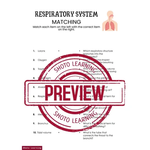Respiratory System Diagram: Fill in the Blanks and Learn