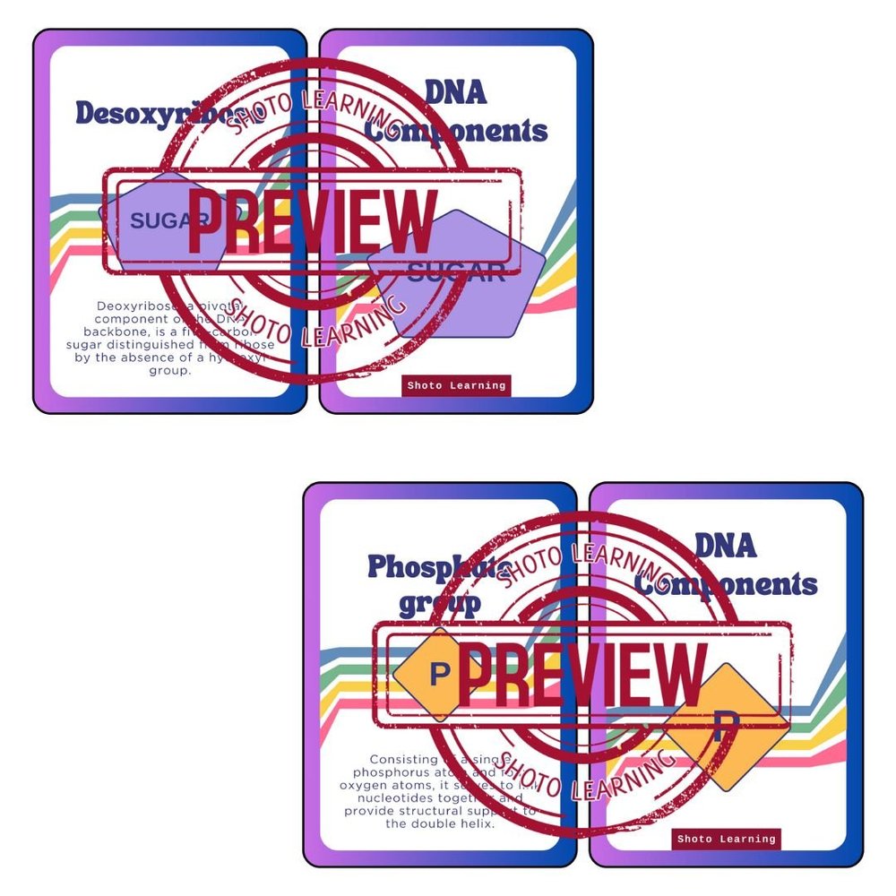 DNA Structure & Replication Mastery Worksheet | Fill in the Blank